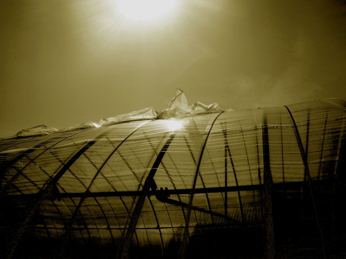 greenhouse with sunshine | GANREF