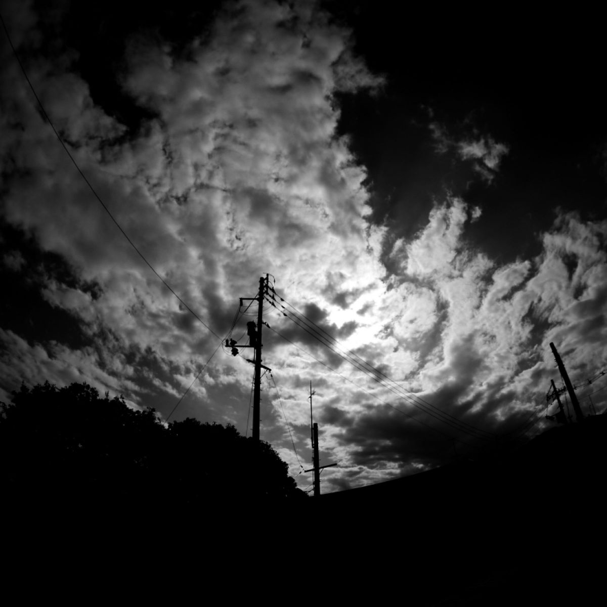 contrast (bright clouds and power poles) | GANREF