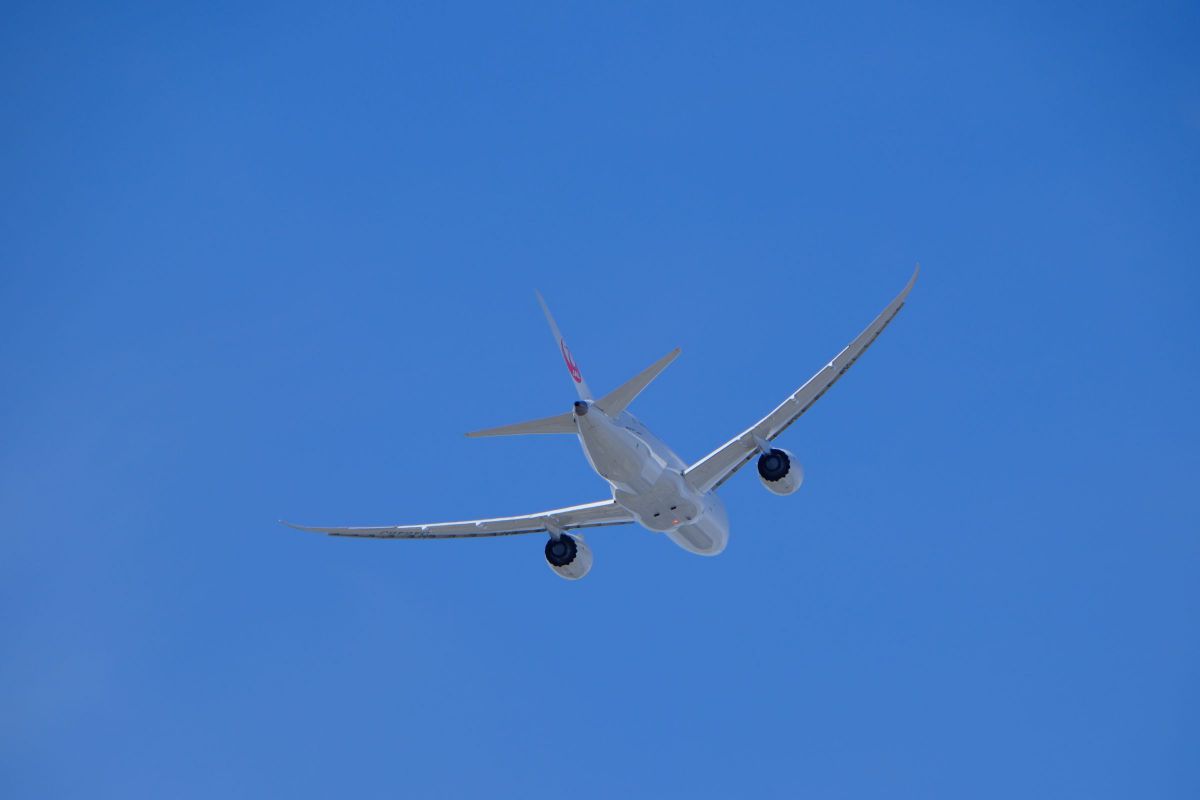 やっぱり787 | GANREF