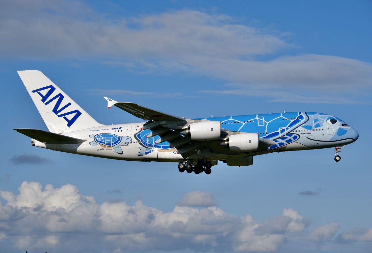 フライングホヌ ANAブルー | GANREF