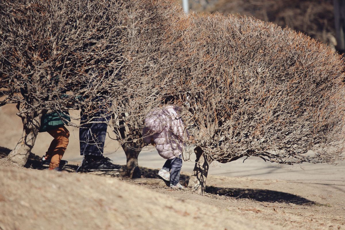 nontitle snap | GANREF