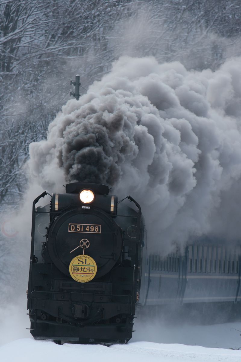 陸羽東線にD51を追う | GANREF