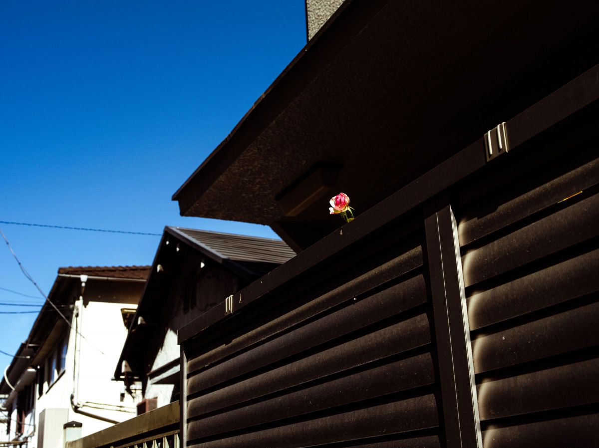 Words to Share | GANREF