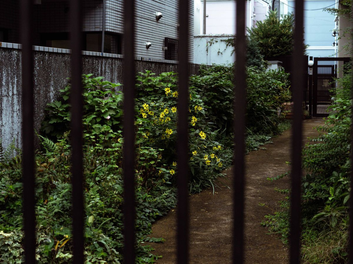 Welcome back | GANREF