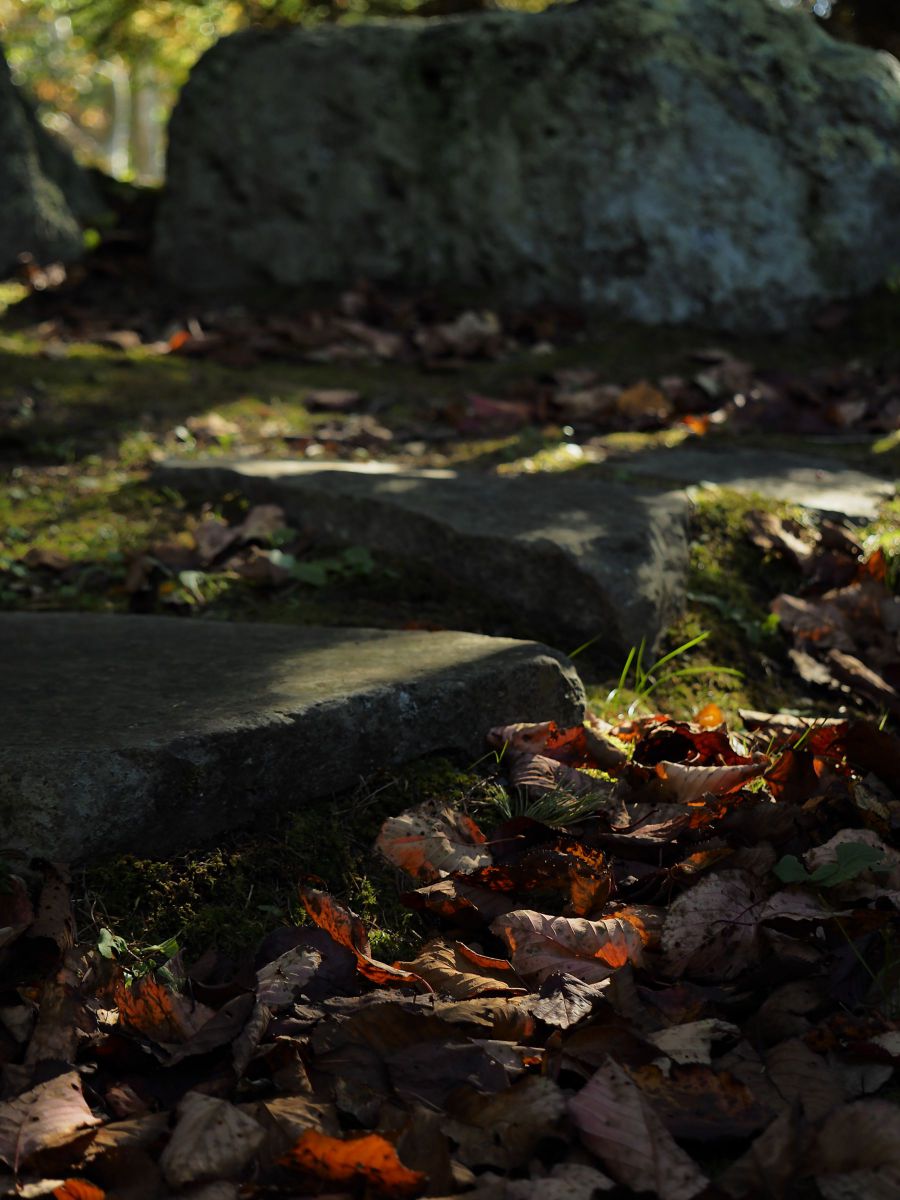 スポットライト 2 | GANREF