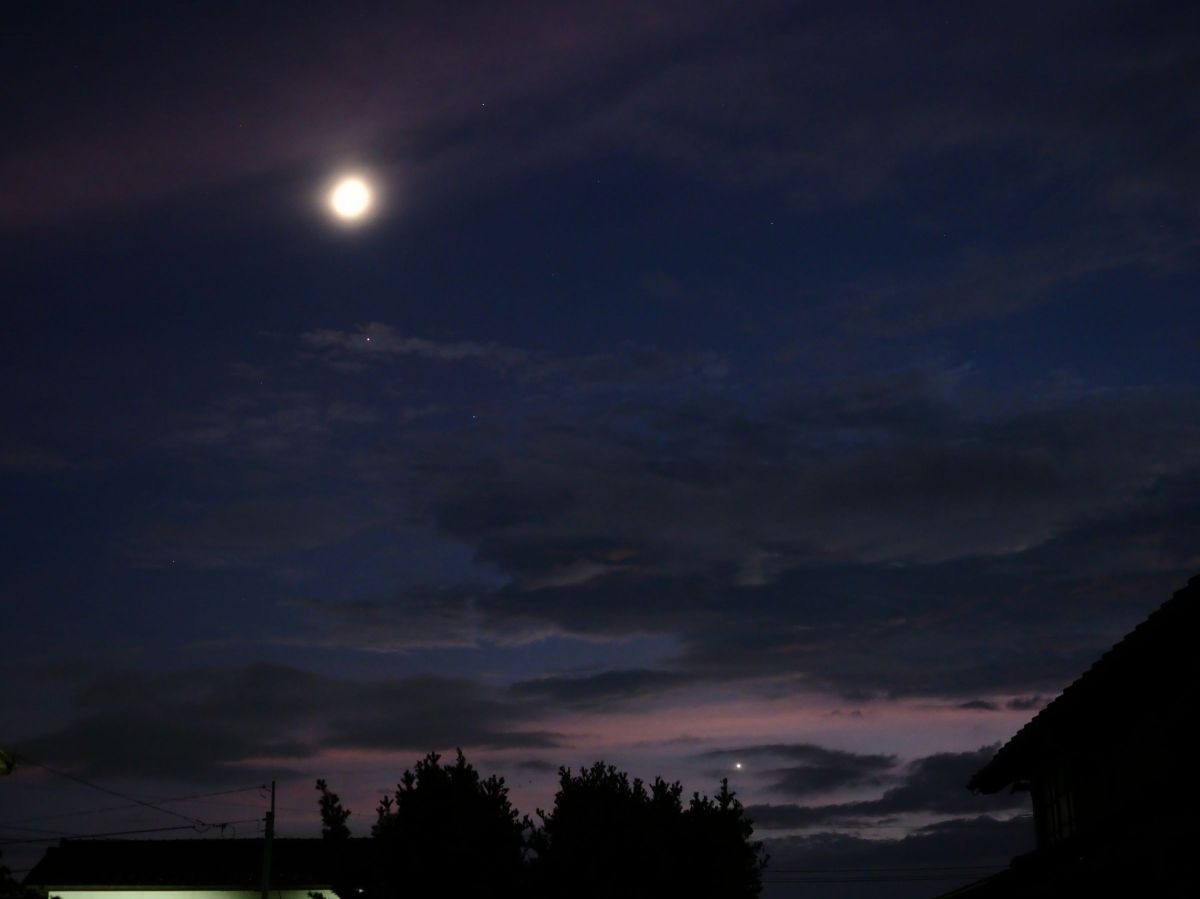 星月夜（2018年） | GANREF