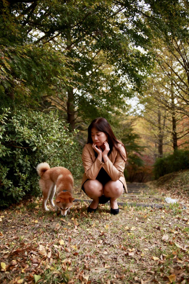 『あなたは何処から来たの？』 | GANREF