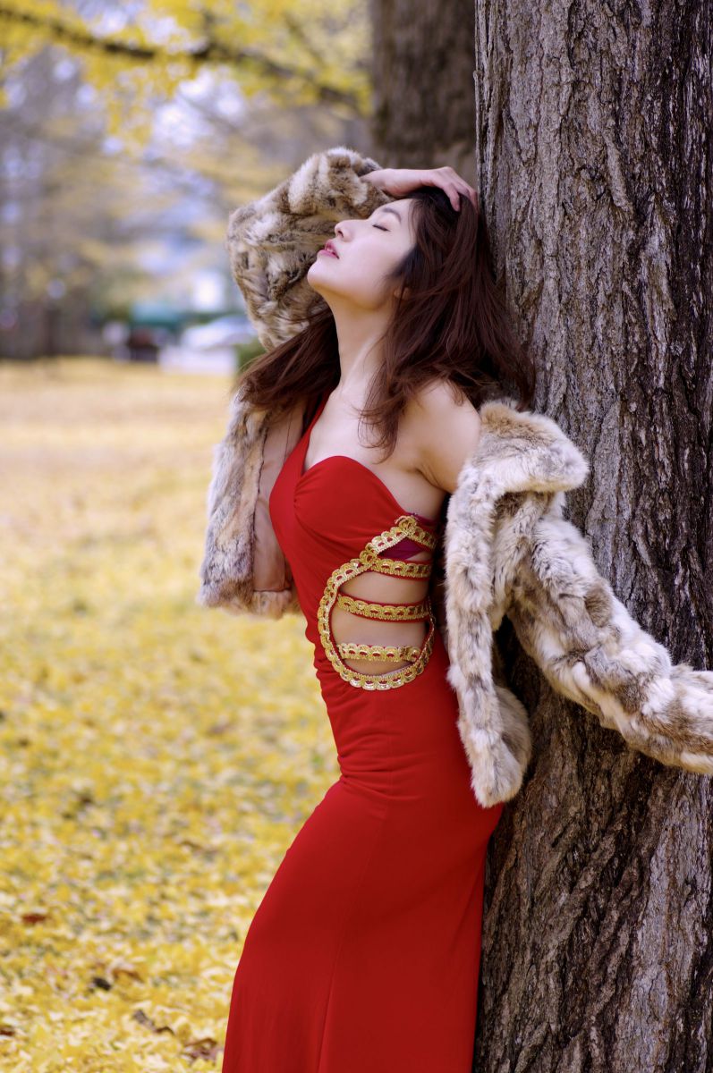 赤と黄色 | GANREF