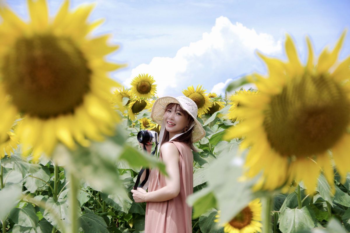 今年の夏 | GANREF