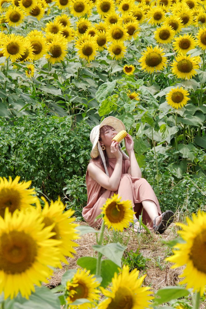 お腹空いた！ | GANREF