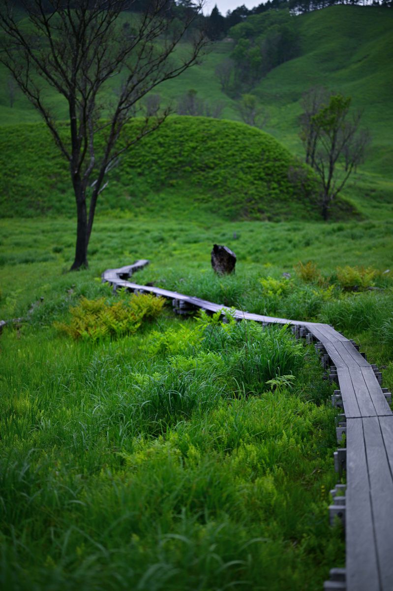 Road to Heaven | GANREF