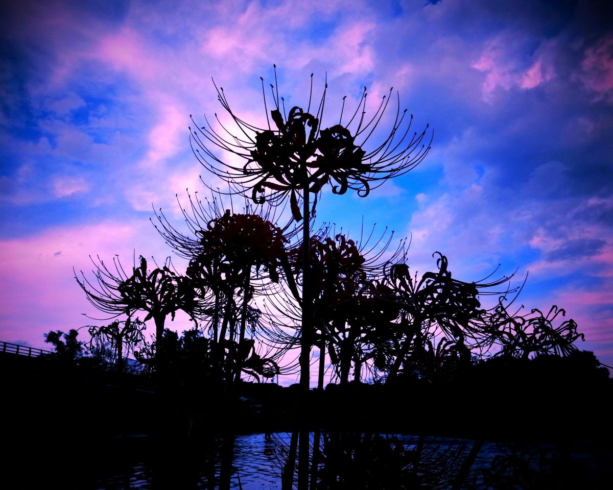 懺悔の空 | GANREF