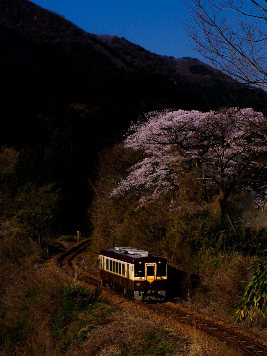 わたらせ渓谷に春 | GANREF