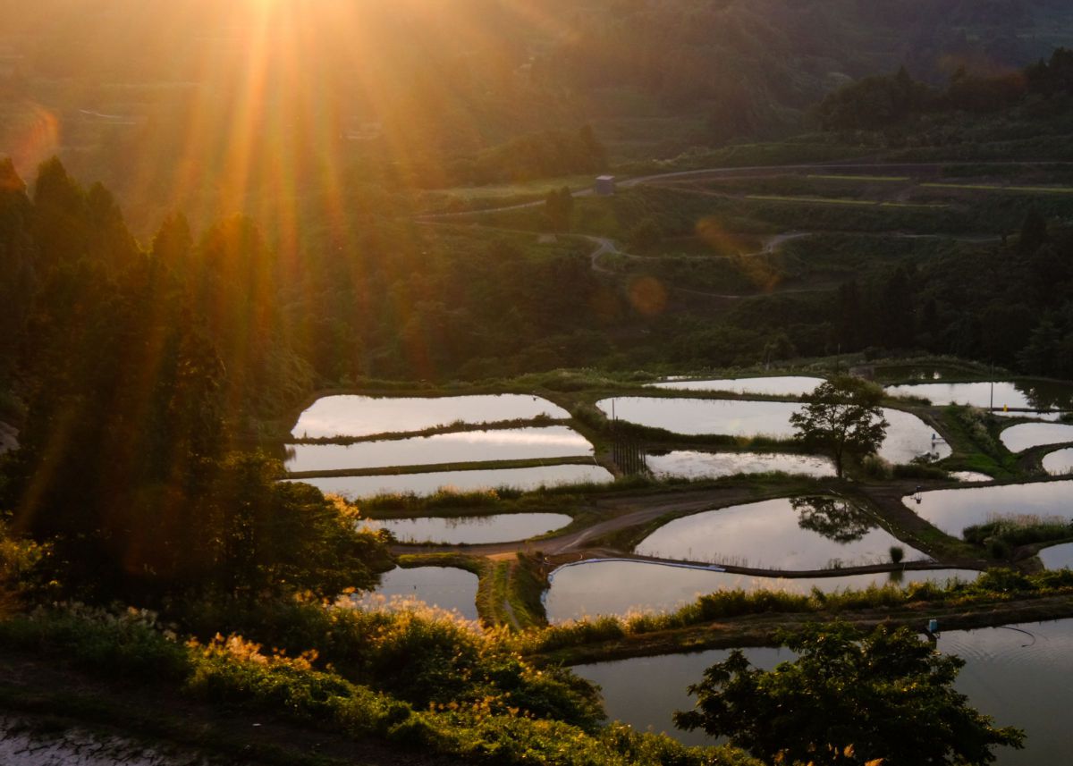 新潟の棚田風景その8 | GANREF