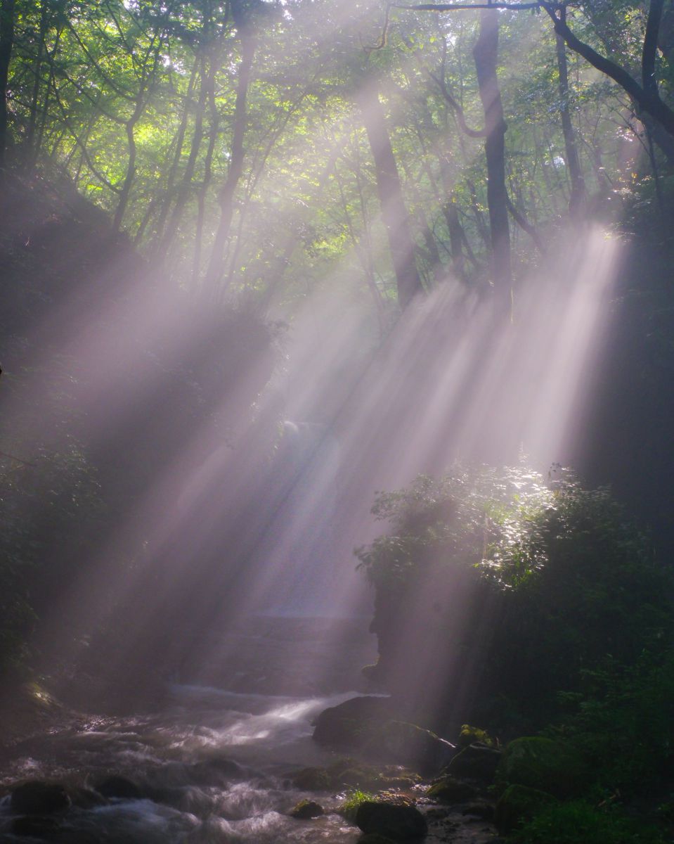 降りそそぐ光芒 | GANREF