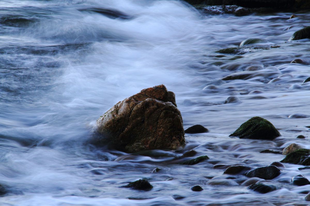 At the beach | GANREF