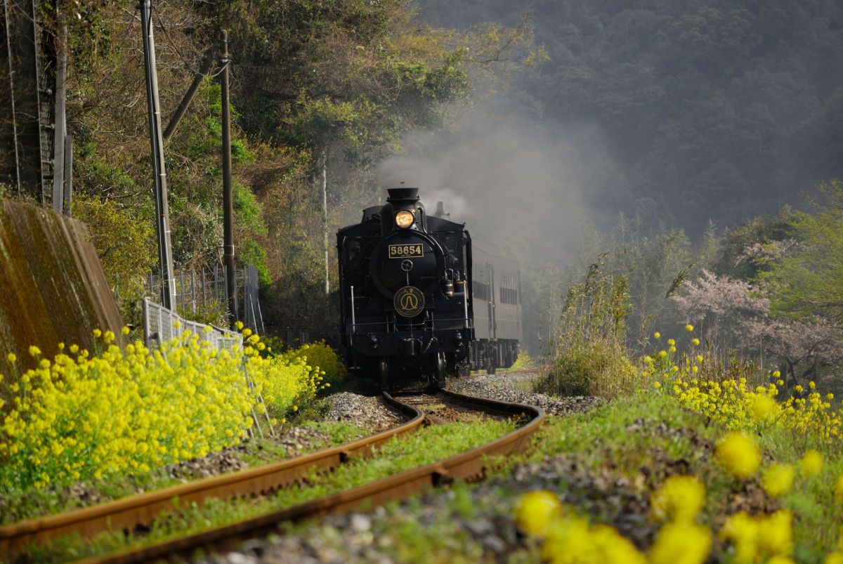 SL人吉号 | GANREF