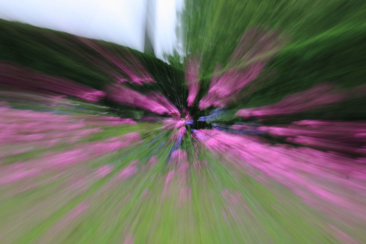 Spring explosion | GANREF