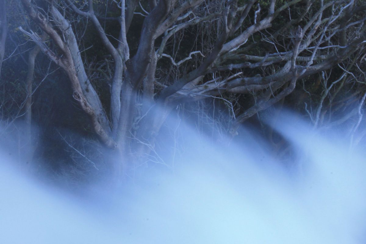 湯煙り(white wind) | GANREF