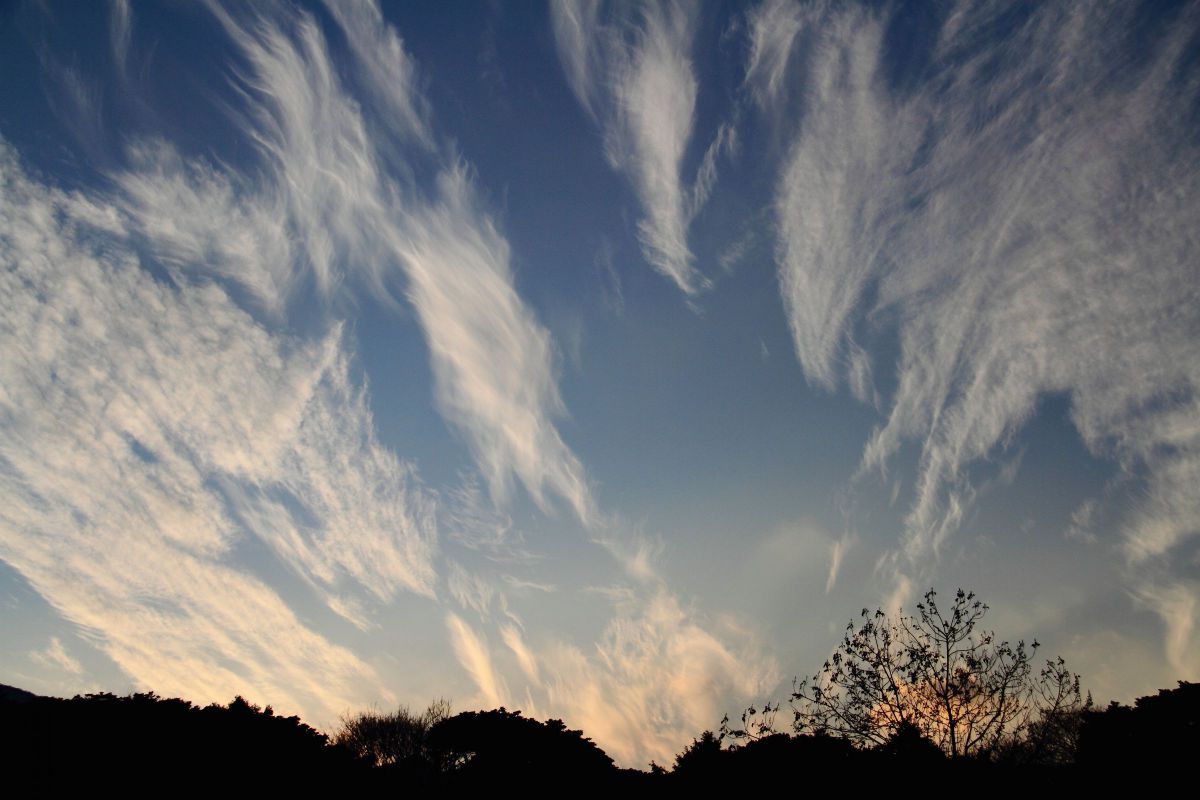 clouds like steam | GANREF