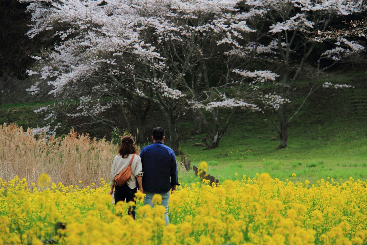 季節の中で scene2 | GANREF