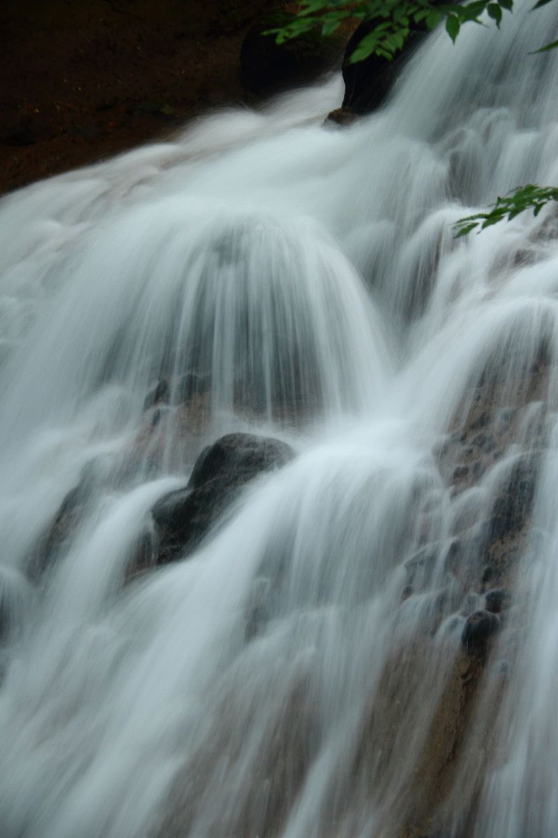 white stream | GANREF