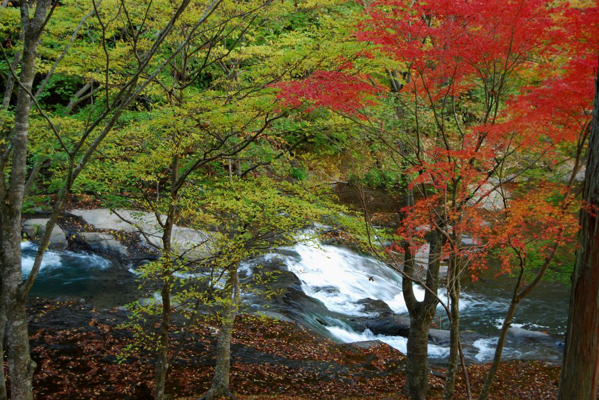 遊水峡（秋）scene2 | GANREF