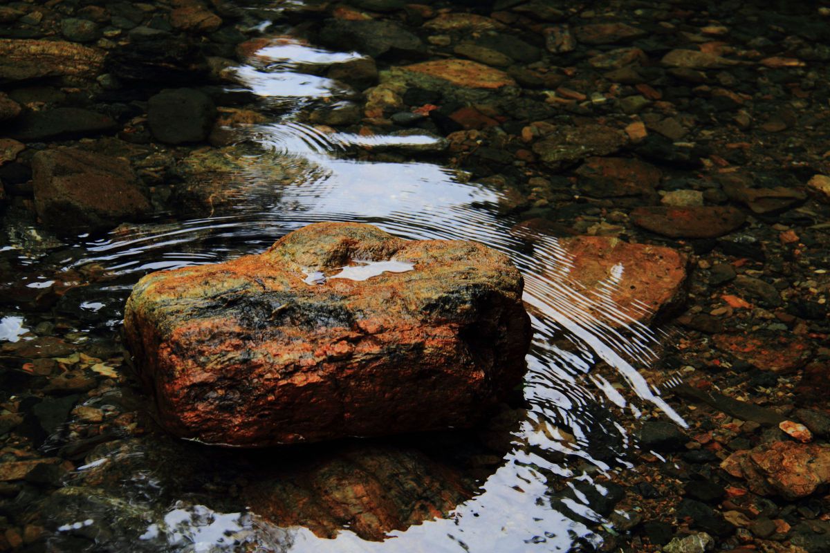 Clear stream | GANREF