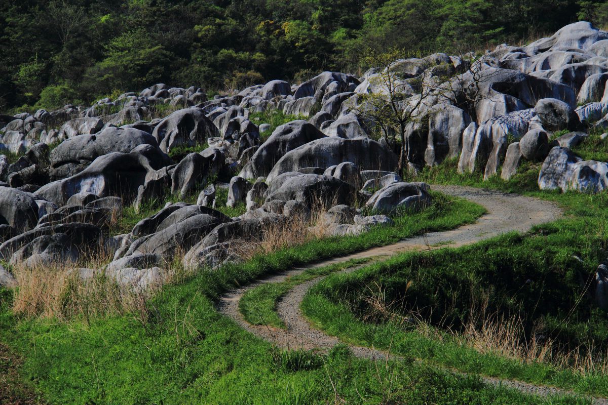 Mysterious road | GANREF