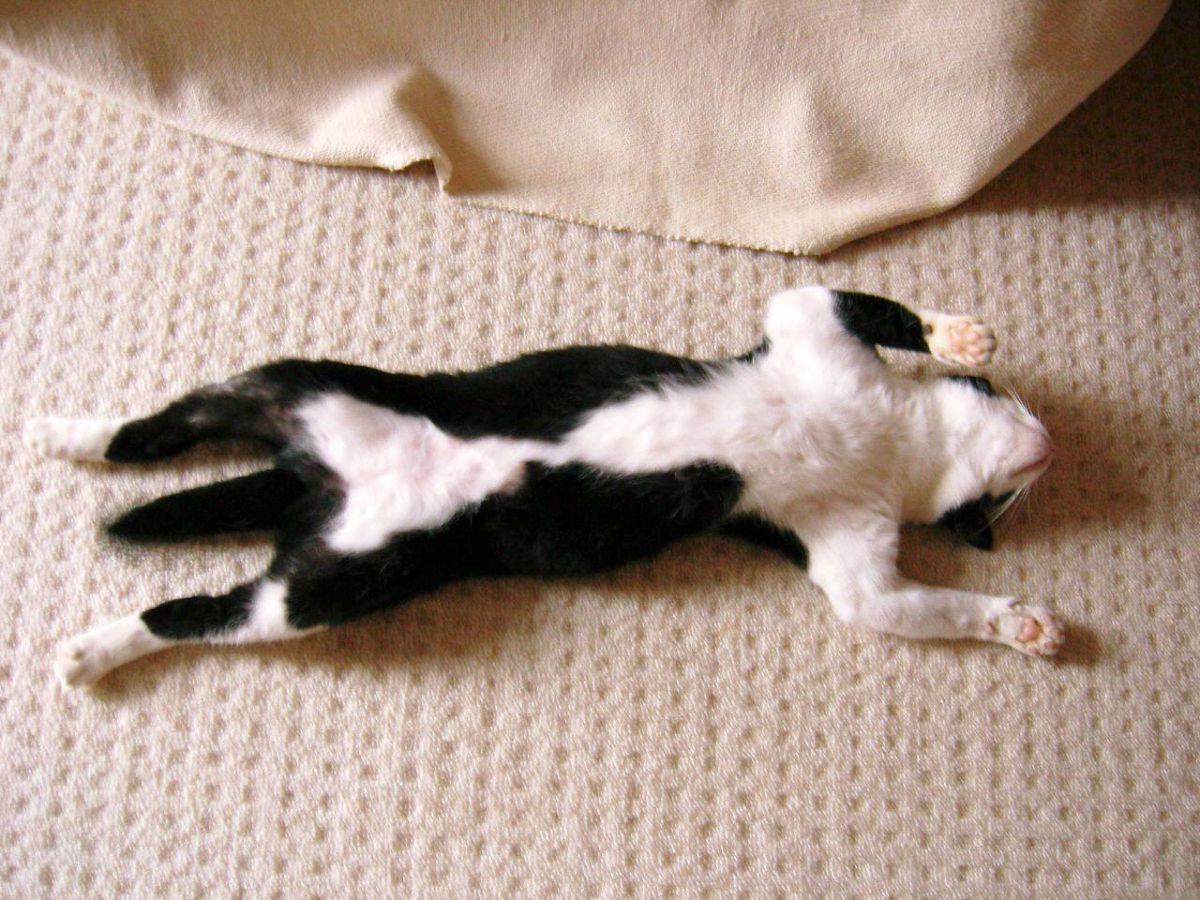 My memory（long and long） | GANREF