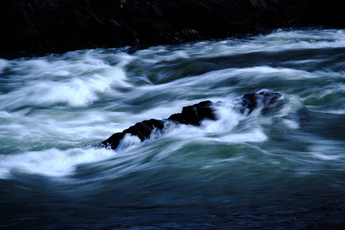 Blue stream | GANREF