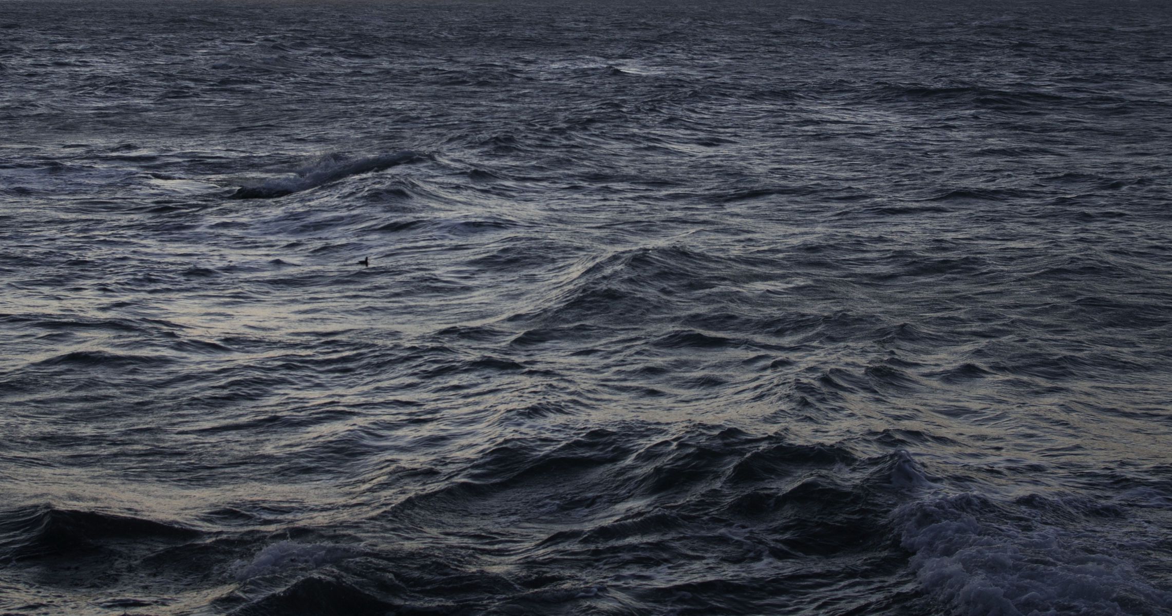 2024/02/11 御前崎 | GANREF