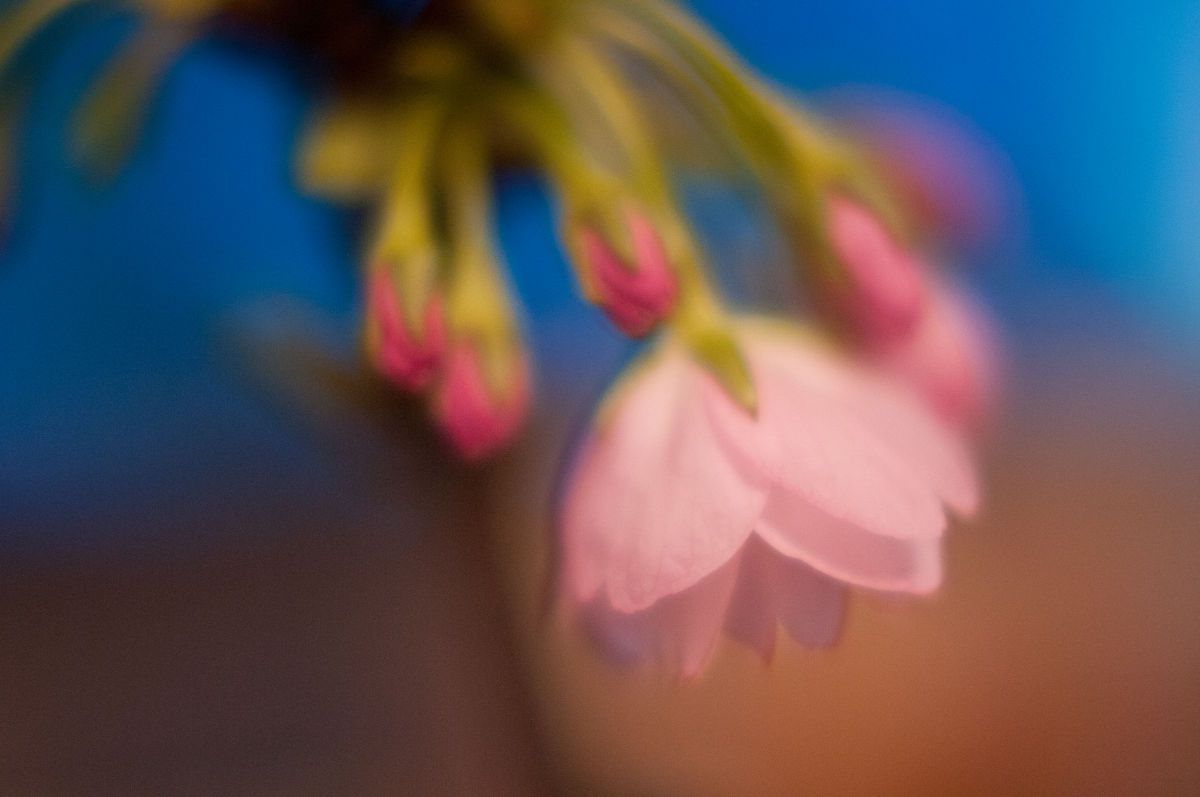 2015/03/29 自室 | GANREF