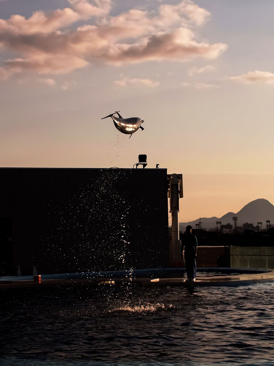 For the Future | GANREF