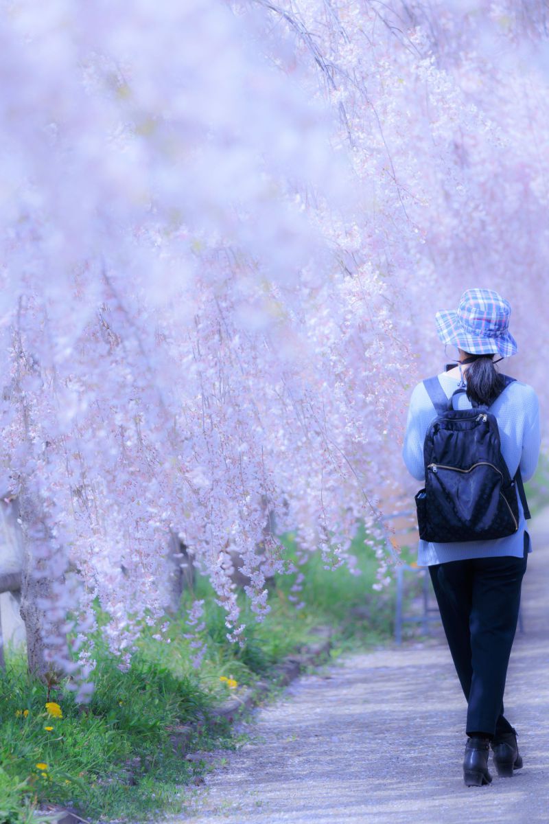 そして君はどこへ行く | GANREF