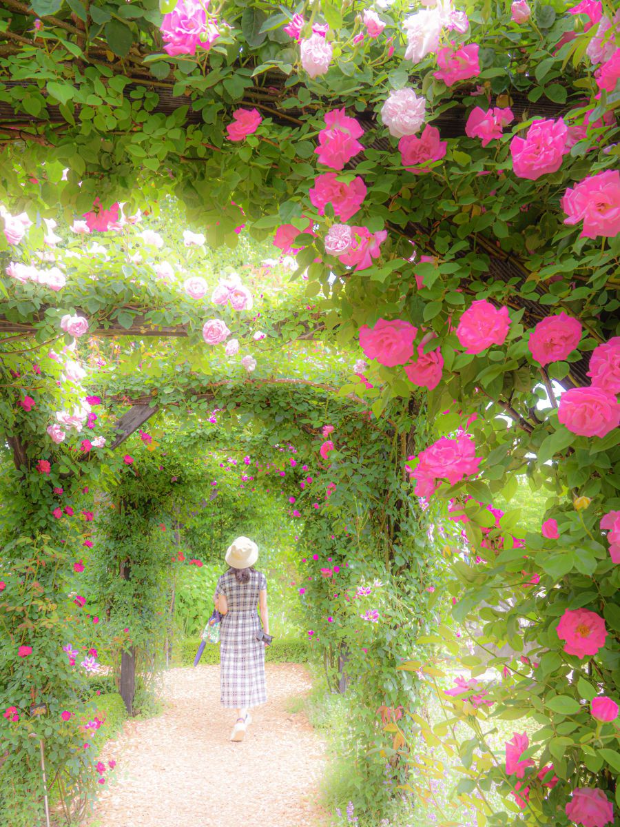 そして君はどこへいく | GANREF