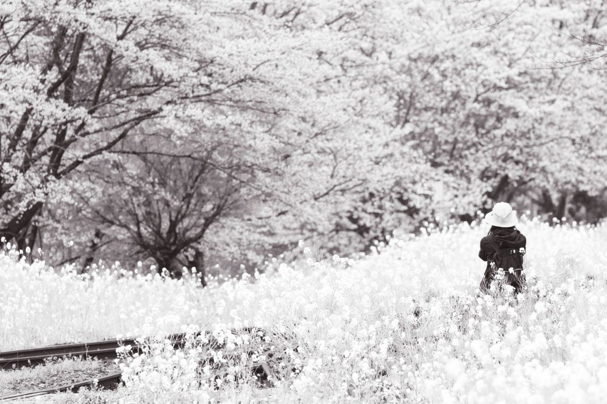 そして君はどこへいく | GANREF