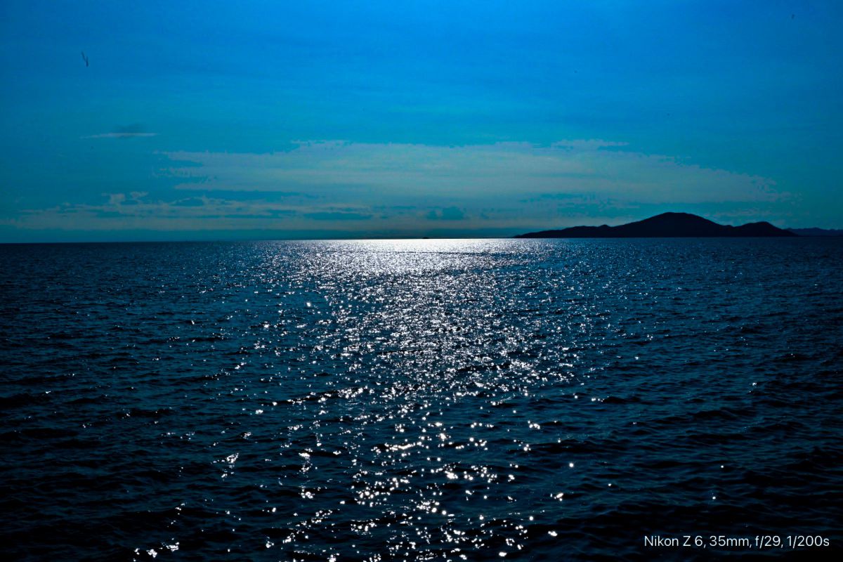 Shining road | GANREF