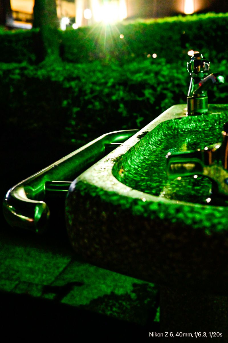 Green Night | GANREF