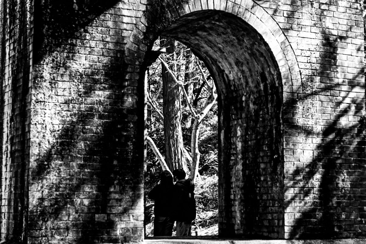 In the gate | GANREF