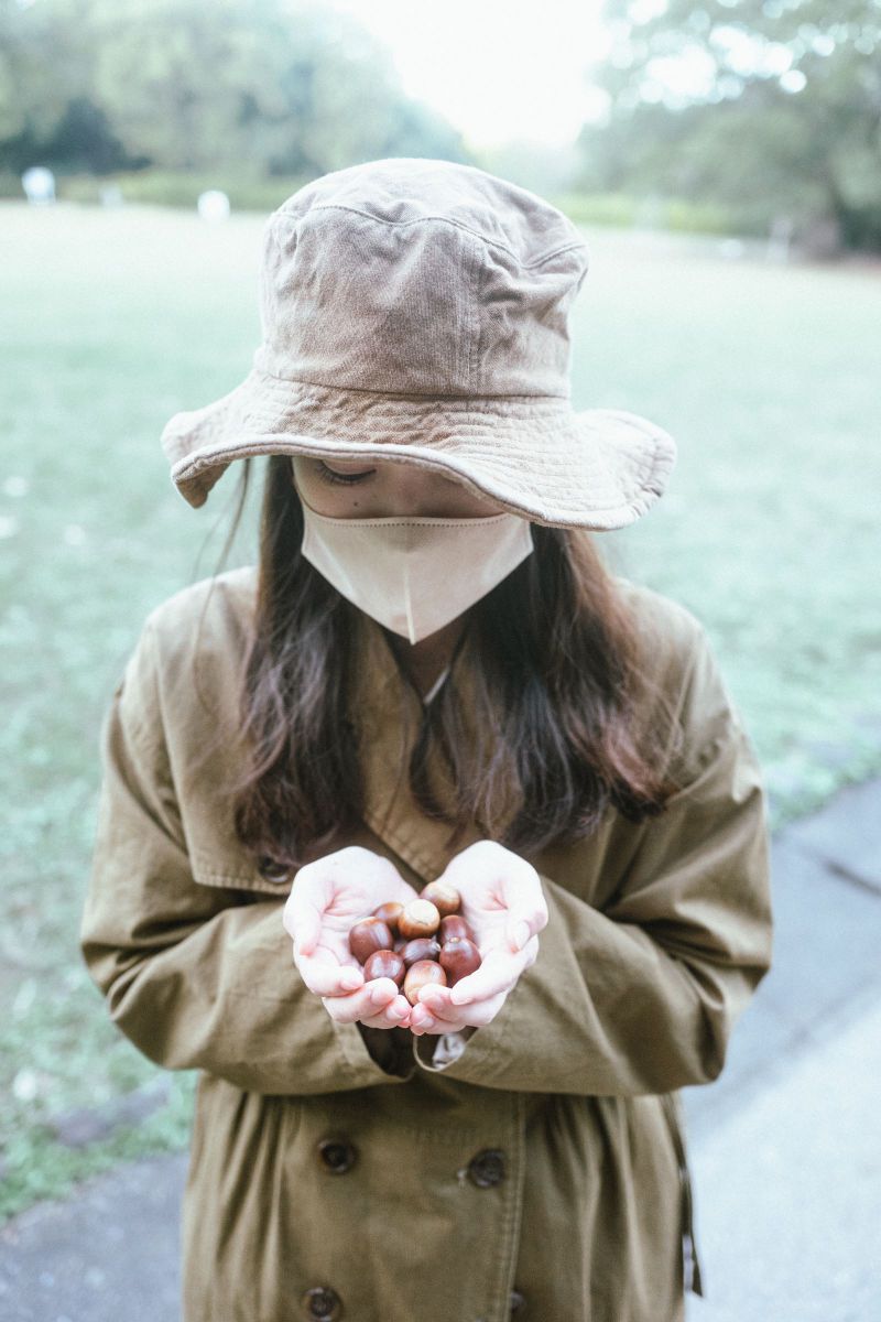 手のひらに秋 | GANREF