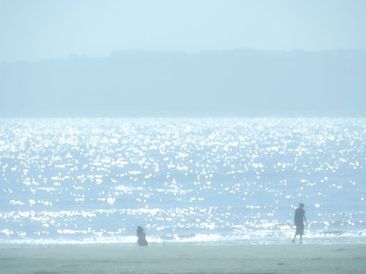 光の中で | GANREF