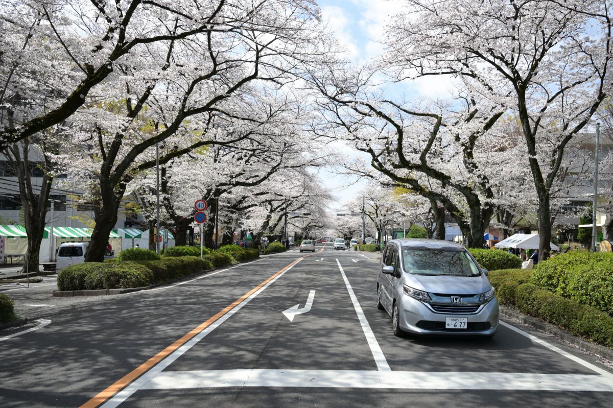 DSC_8821.jpg | GANREF