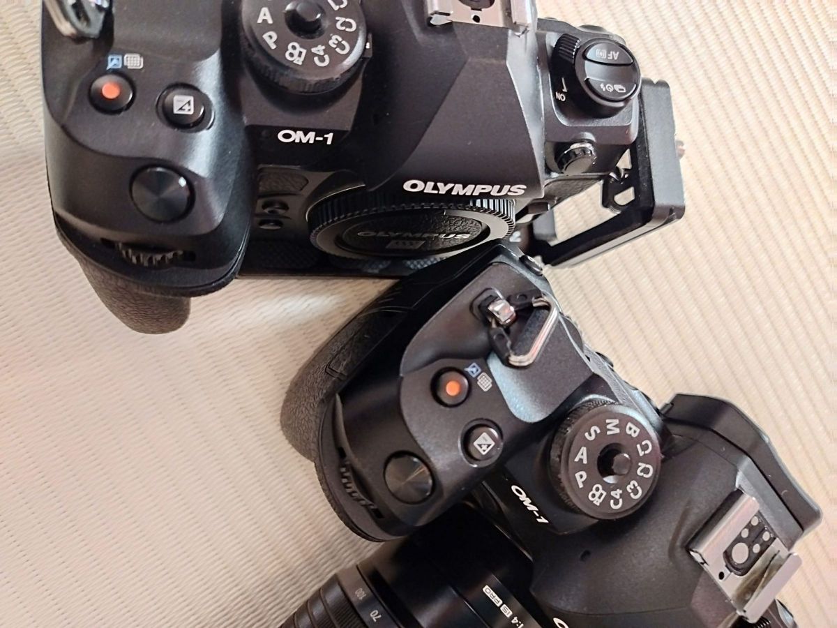 OM-1、ファインダーが目にツライ。。。 | GANREF
