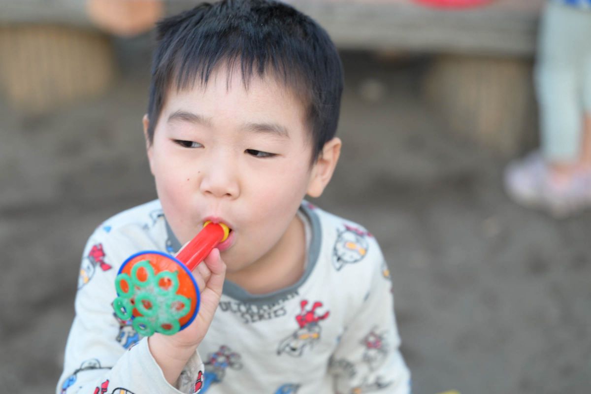 [ニコン Z8＆大三元レンズ]機材返却のご報告と、特に心に残ったZ8の魅力 | GANREF