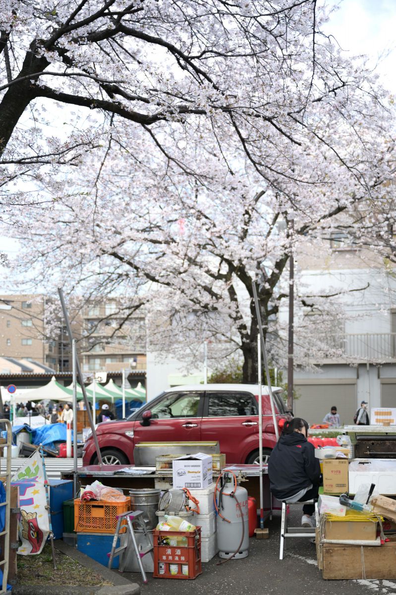 DSC_8835.jpg | GANREF