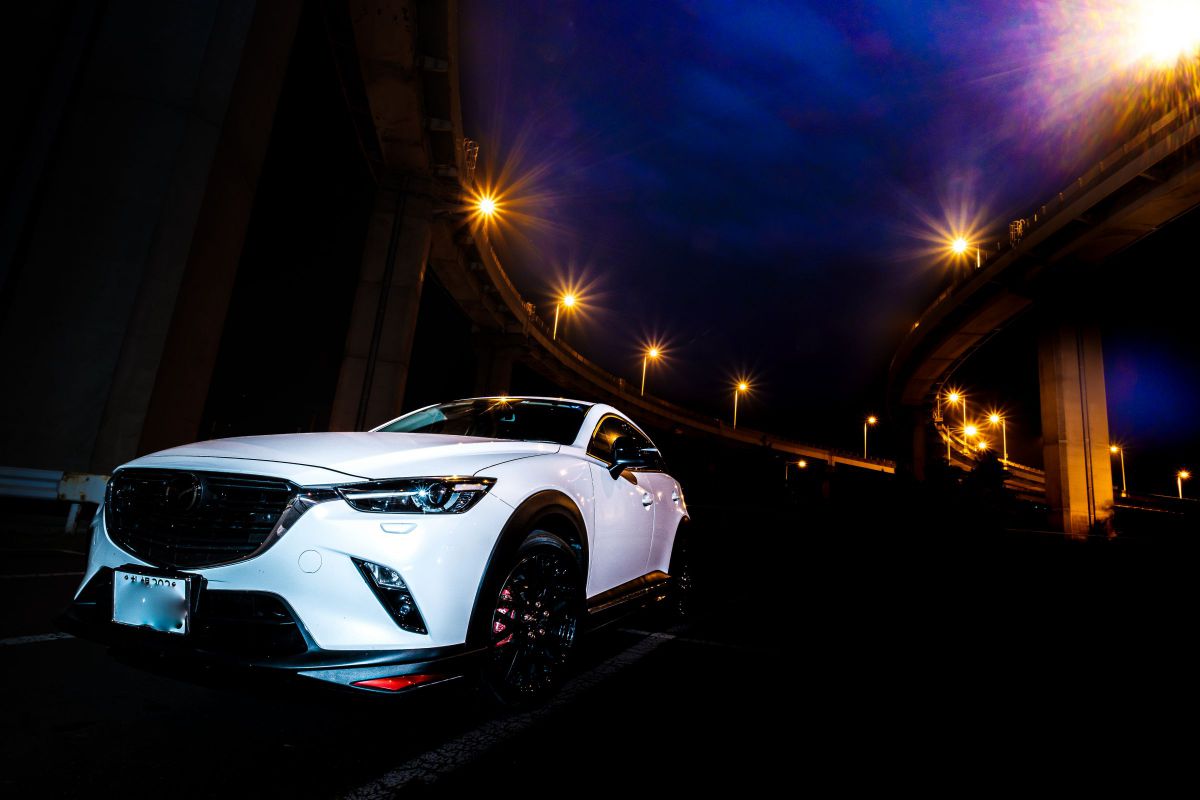 Night cruising | GANREF