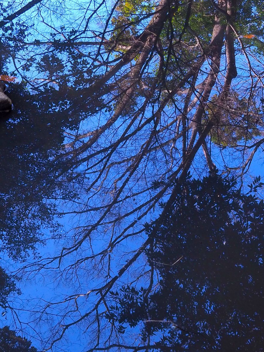 opposite blue | GANREF