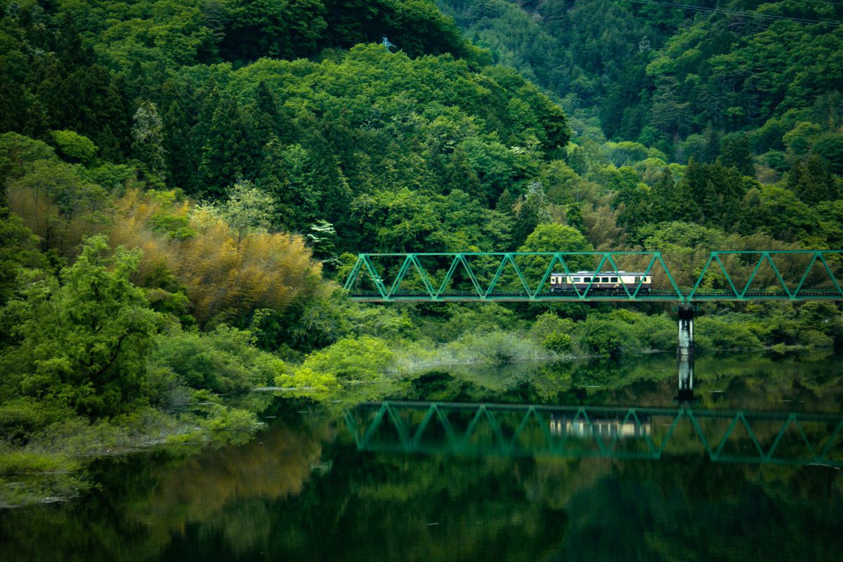 新緑めぐり | GANREF