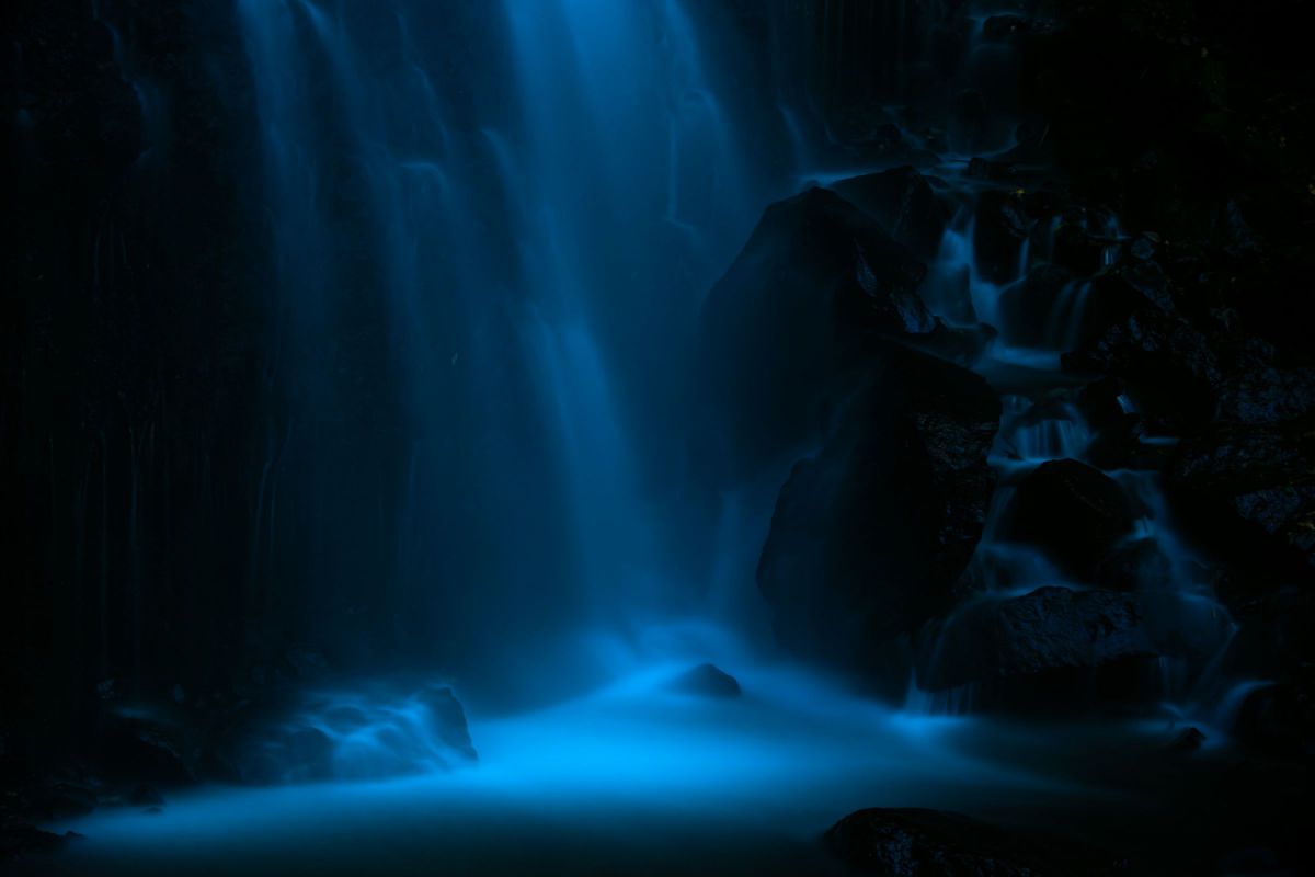 幽玄への誘い | GANREF